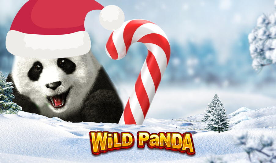Wild Panda Slot: Free Slot Machine Game to Play Online No Download