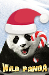 Wild Panda Slot: Free Slot Machine Game to Play Online No Download